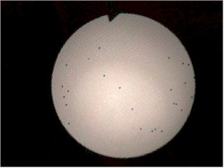 Black Dots Definition | ViewTech Borescopes